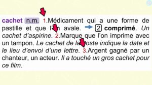 Article de dictionnaire pour CM1 CE2 CM2 - Maître Lucas