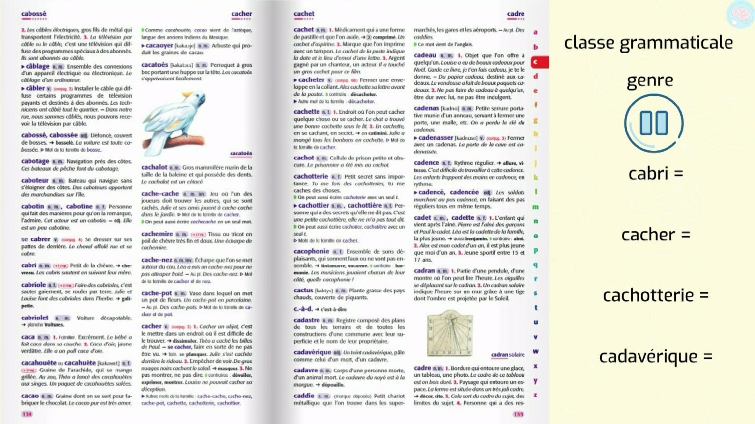 Article de dictionnaire pour CM1 CE2 CM2 - Maître Lucas