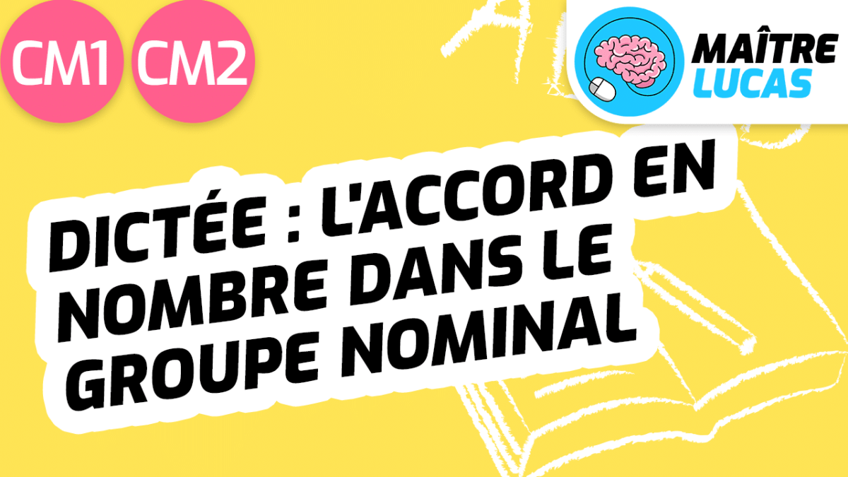 Dictée l'accord en nombre dans le groupe nominal CM1 CM2 - Maître Lucas
