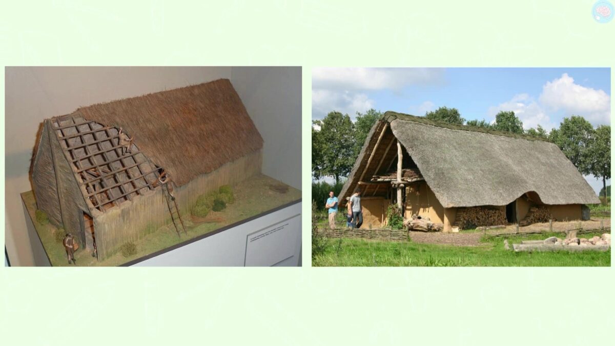 Evolution de l'habitat pour élèves de CE1 CE2 - Maître Lucas