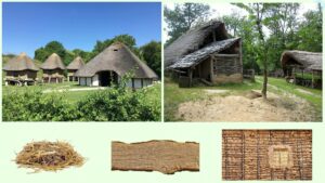 Evolution de l'habitat pour élèves de CE1 CE2 - Maître Lucas