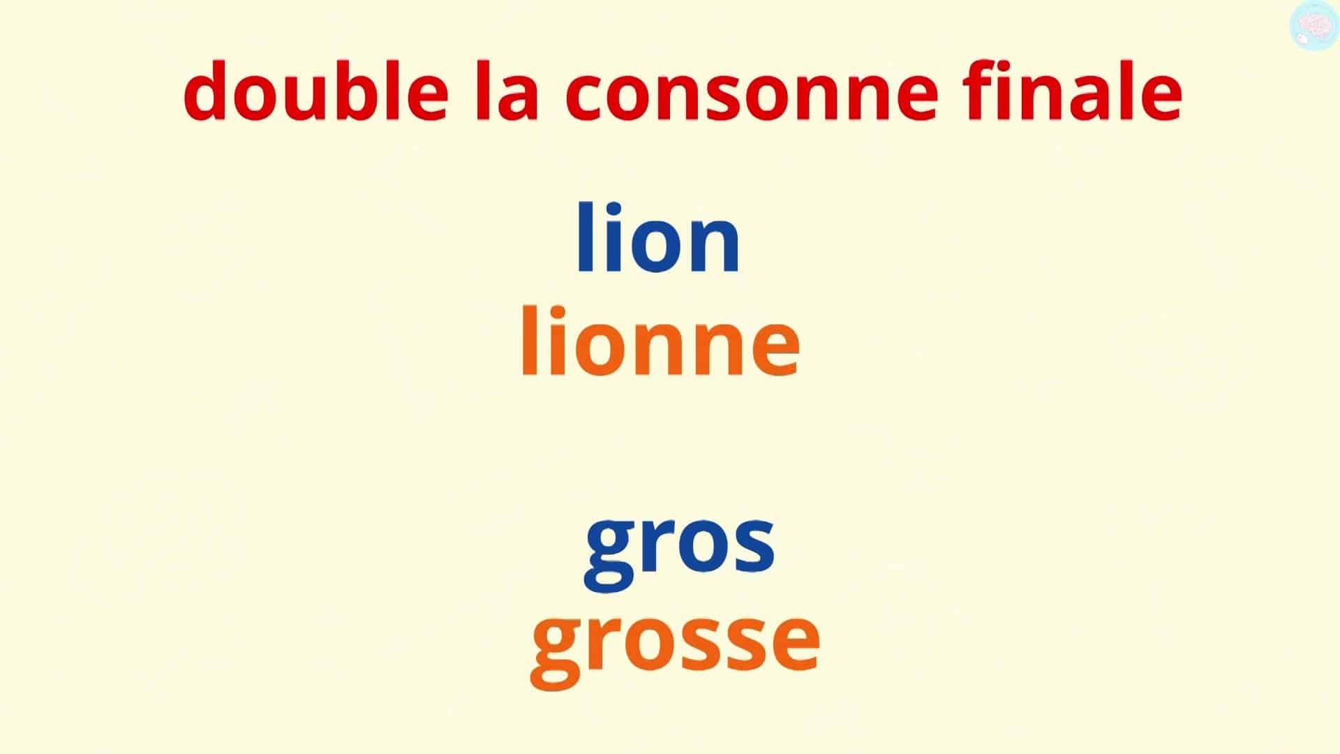 Le féminin des noms et des adjectifs CM1 CM2 - Maître Lucas