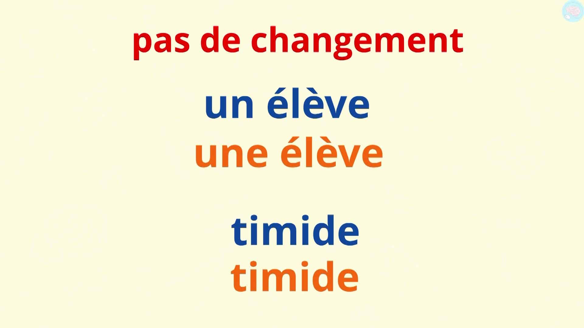 Le féminin des noms et des adjectifs CM1 CM2 - Maître Lucas