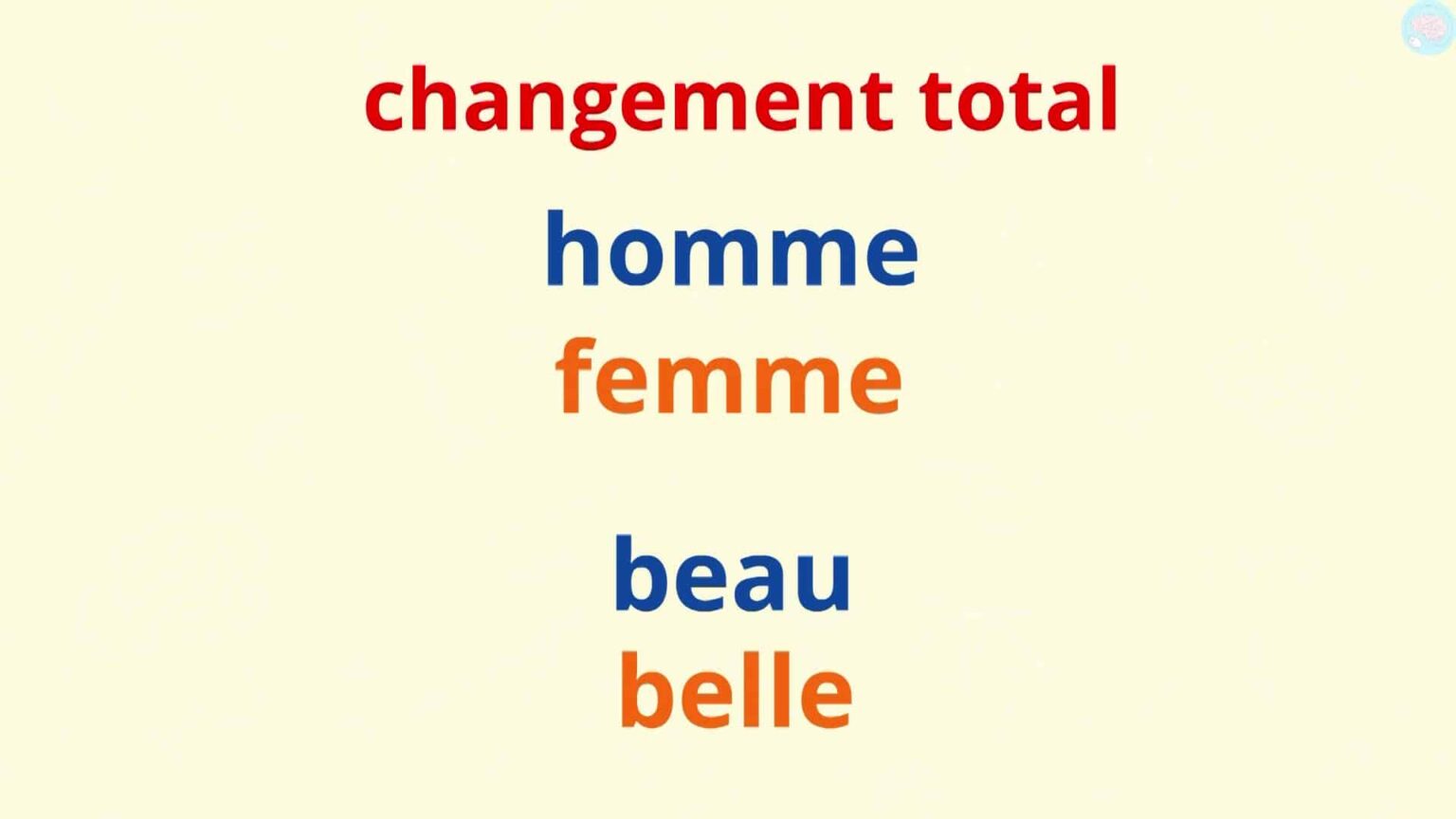 Le féminin des noms et des adjectifs CM1 CM2 - Maître Lucas