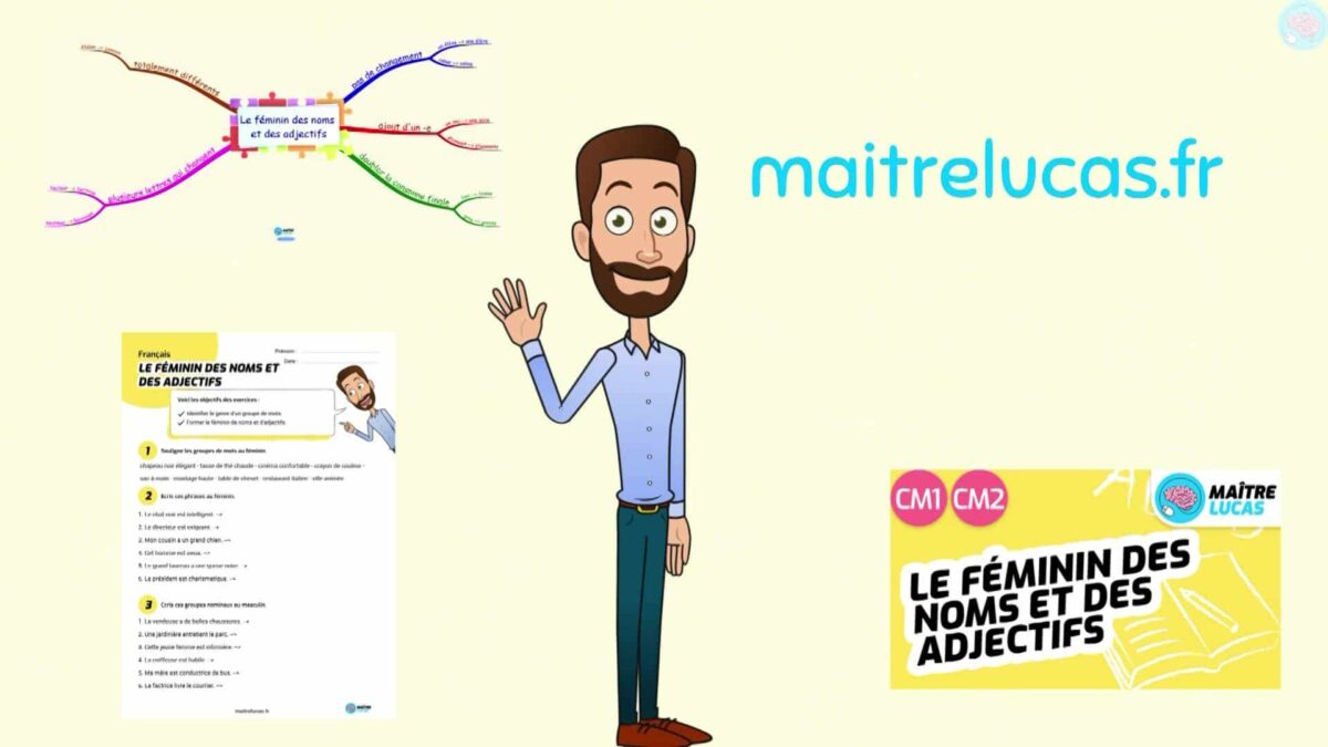 Le féminin des noms et des adjectifs CM1 CM2 - Maître Lucas