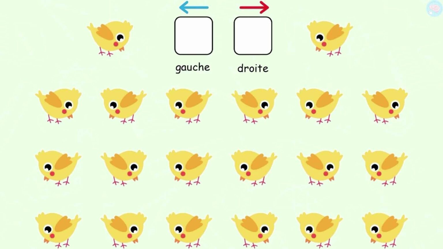 Droite gauche, comment les distinguer ? CP CE1 - Maître Lucas