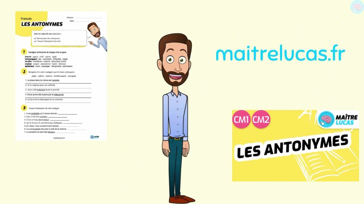 Les antonymes CM1 CM2, c'est quoi ? - Maître Lucas