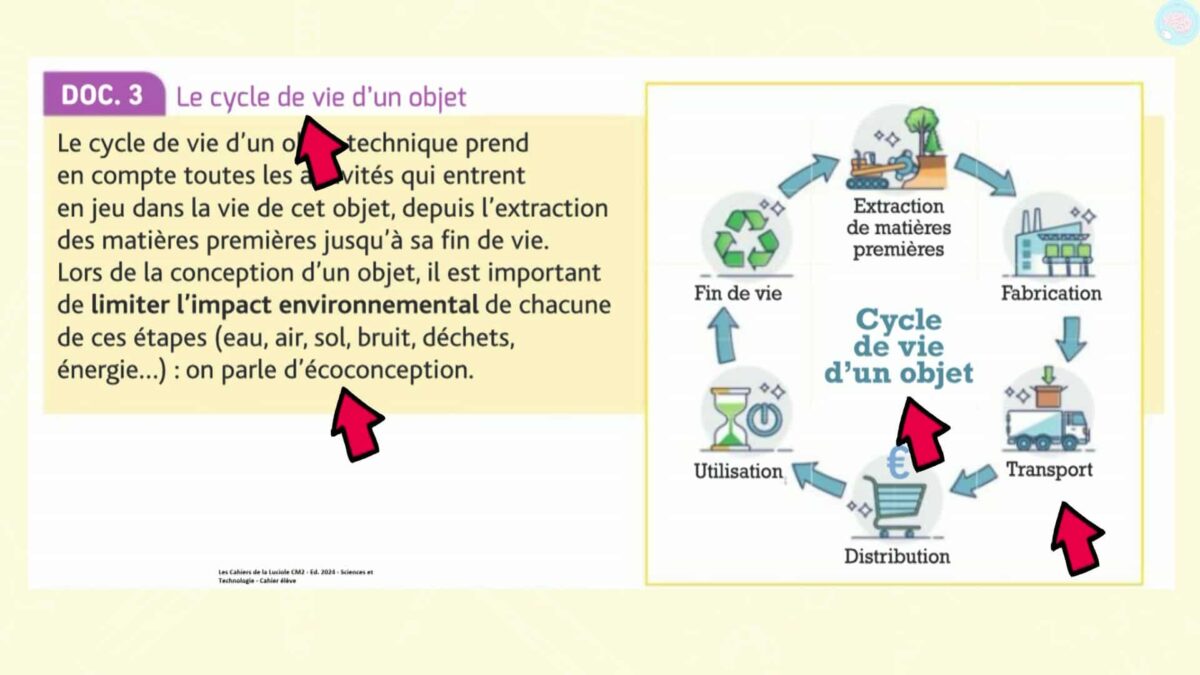 Lire un texte explicatif pour CM1 CM2 - Maître Lucas