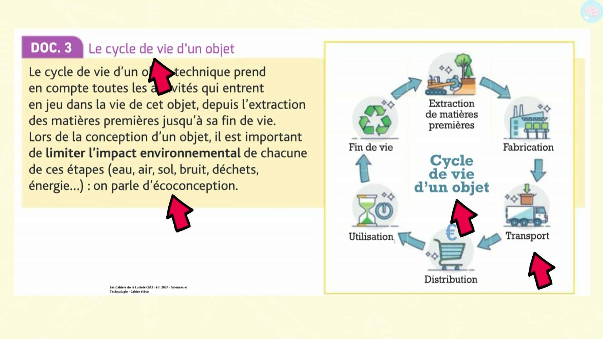 Lire un texte explicatif pour CM1 CM2 - Maître Lucas