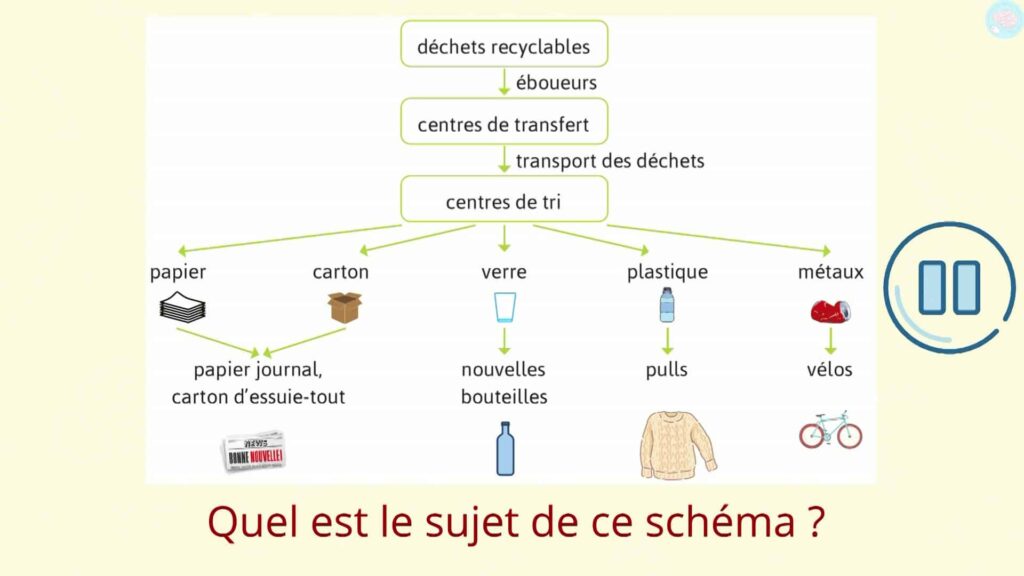 Lire un texte explicatif pour CM1 CM2 - Maître Lucas