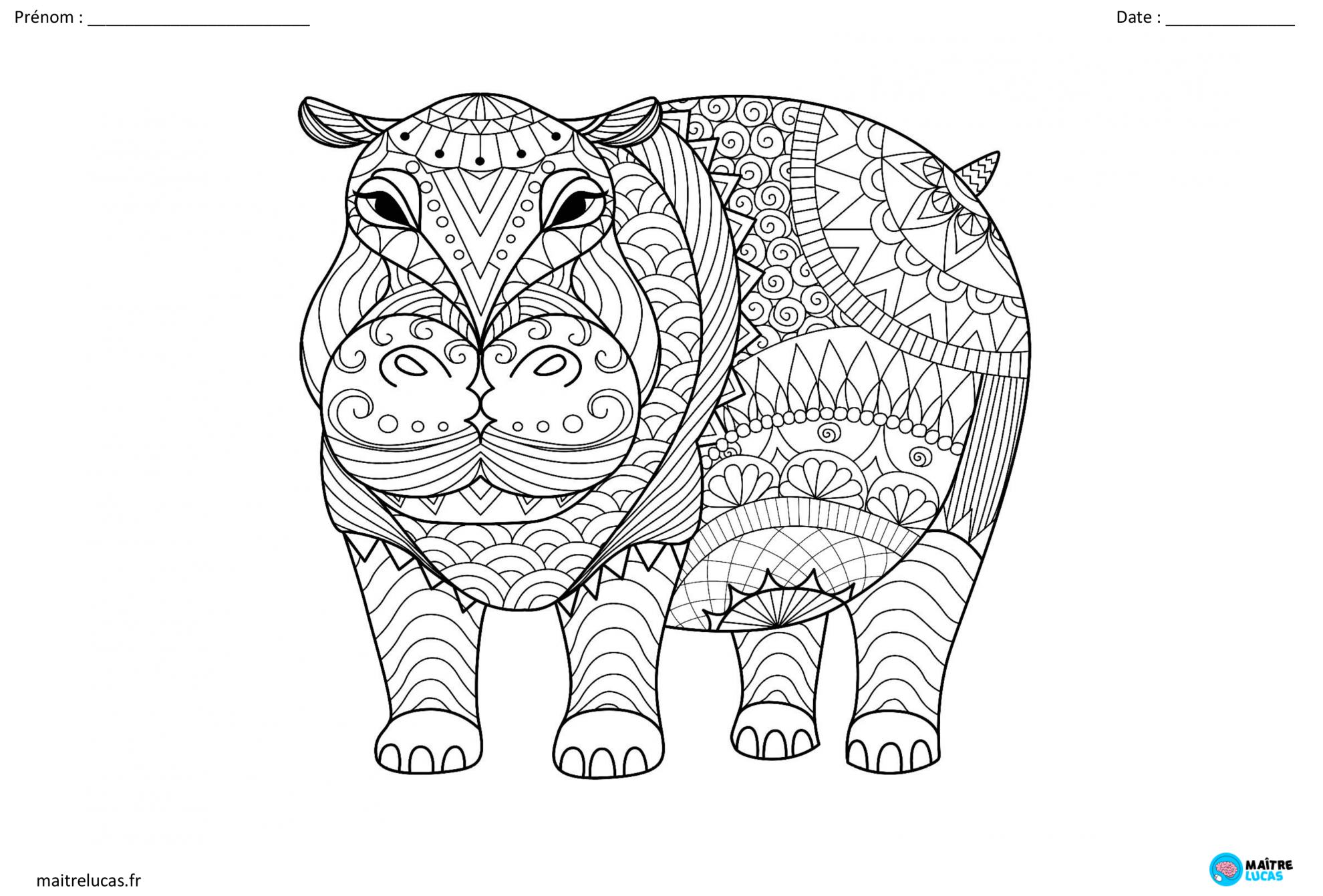 200 Mandalas à réaliser au CM1 CM2 - Maître Lucas