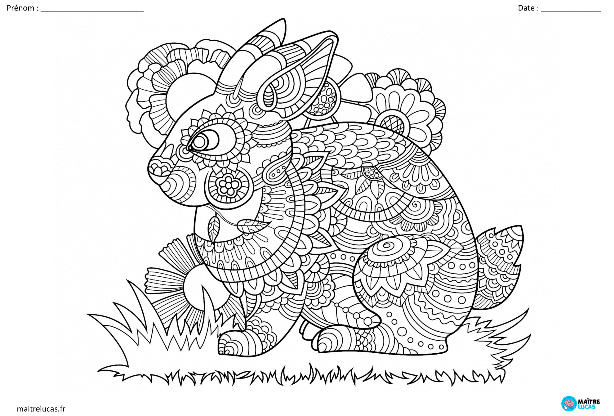 200 Mandalas à réaliser au CM1 CM2 - Maître Lucas