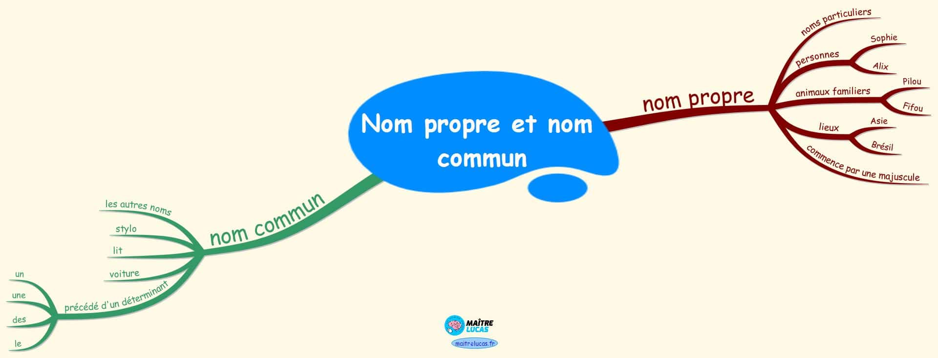 Carte mentale Nom propre et nom commun CP CE1 - Maître Lucas