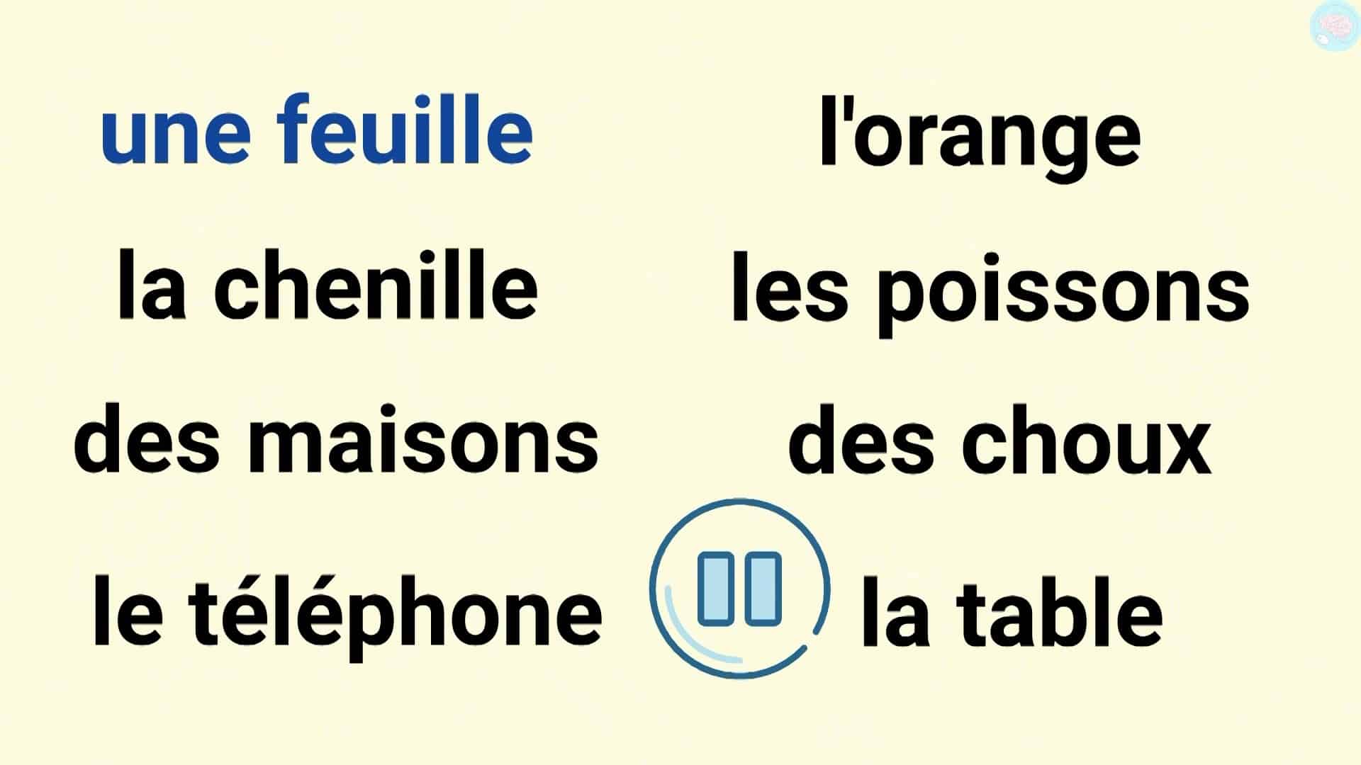 Le singulier et le pluriel, les distinguer au CP et CE1 - Maître Lucas