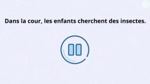 Sujet, verbe, complément : structure d'une phrase - Maître Lucas