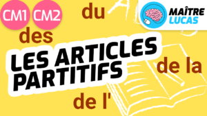 Les articles partitifs, comment les identifier ? CM1 CM2 - Maître Lucas