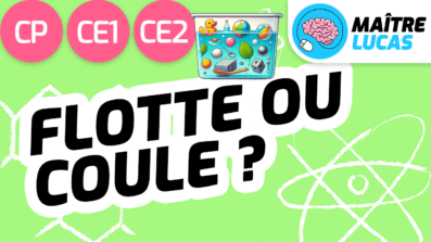 Exercices Flotte ou coule ? CP CE1 CE2 - Maître Lucas