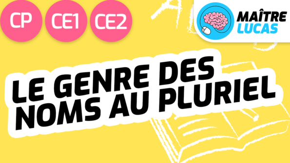 Carte mentale L'accord dans le groupe nominal - Maître Lucas