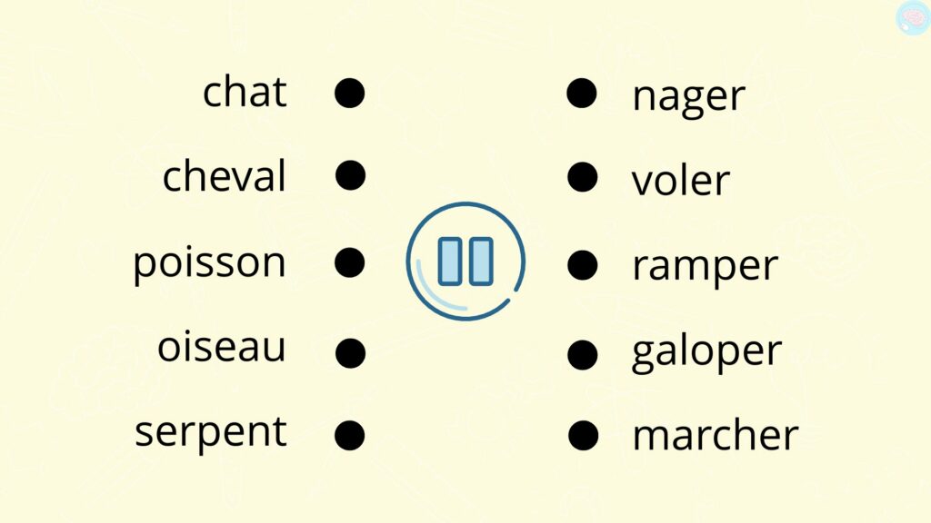 Les verbes de déplacement, c'est quoi ? Pour CE1 et CE2 - Maître Lucas